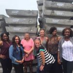 About WDS | World Distribution Services